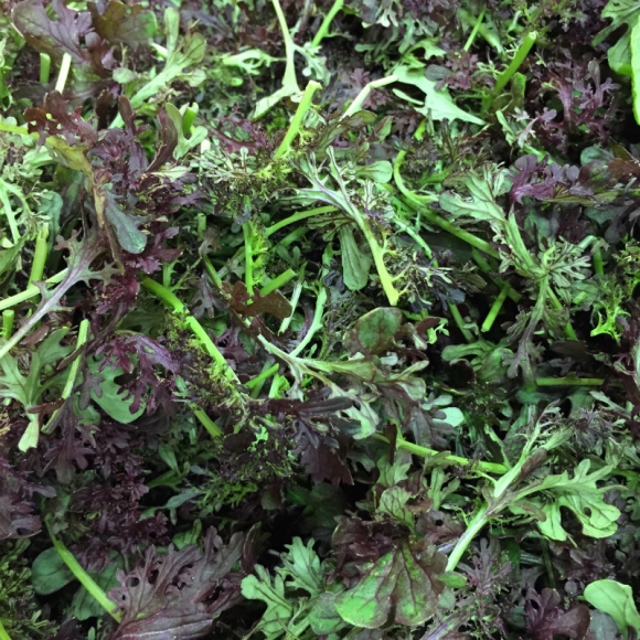 Asian Greens - Mizuna, at Soi, Frilly Red Mustard, Erd Mizuna