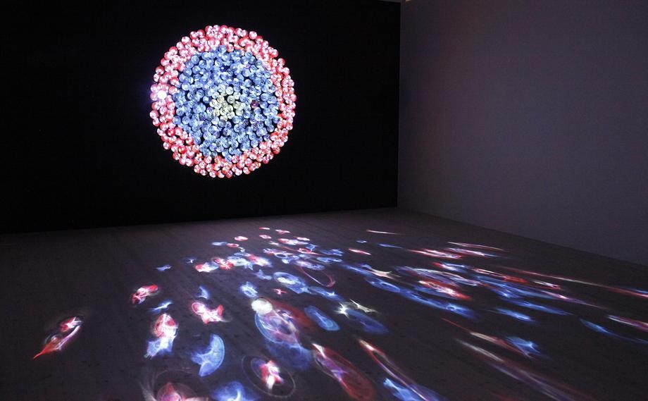 Daniel Canogar - Artists - Mark Moore Fine Art