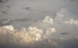 Catherine Erb - Artists - Pryor Fine Art