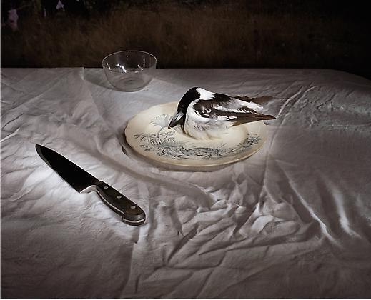 Marian Drew - Artists - Joseph Bellows Gallery