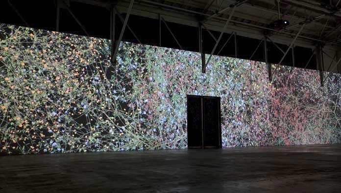 Jennifer Steinkamp: Madame Curie - Museum of Contemporary Art - Museums ...