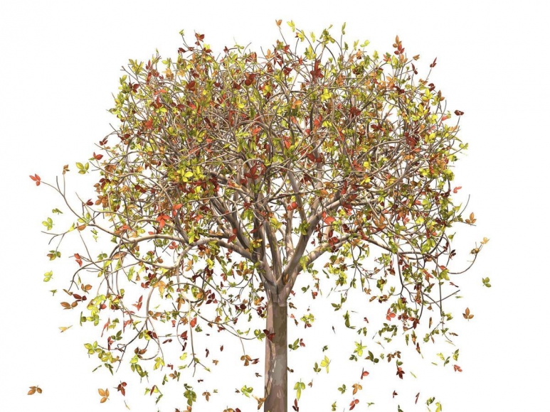 Jennifer Steinkamp - Artists - Lehmann Maupin