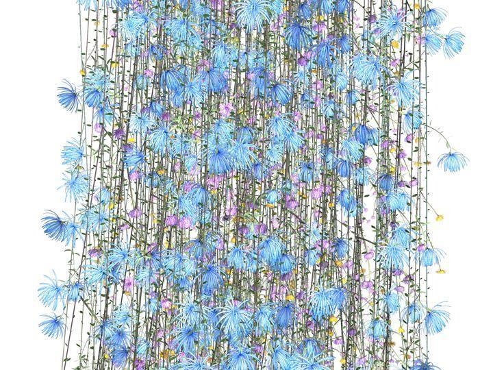 Jennifer Steinkamp - Artists - Lehmann Maupin