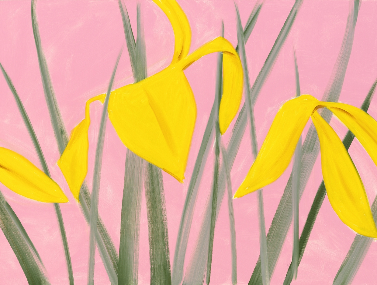 Alex Katz - Artists - Richard Gray Gallery