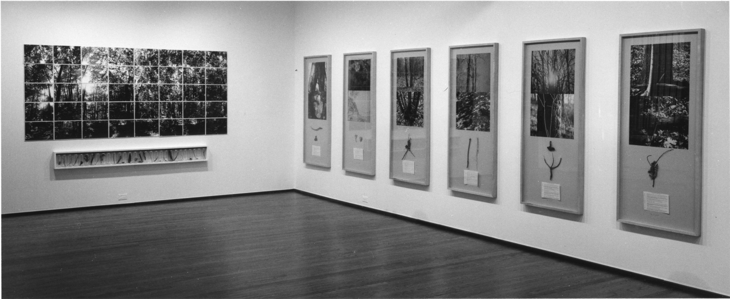 - Alan Sonfist - Exhibitions - Castelli Gallery