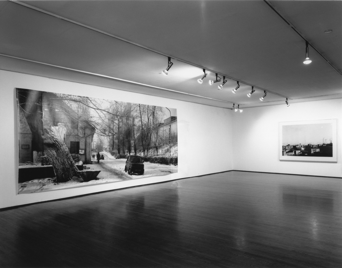 True Stories - Hannah Collins - Exhibitions - Castelli Gallery