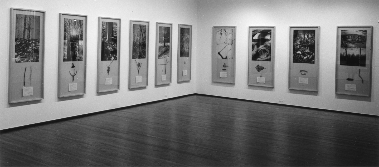 - Alan Sonfist - Exhibitions - Castelli Gallery