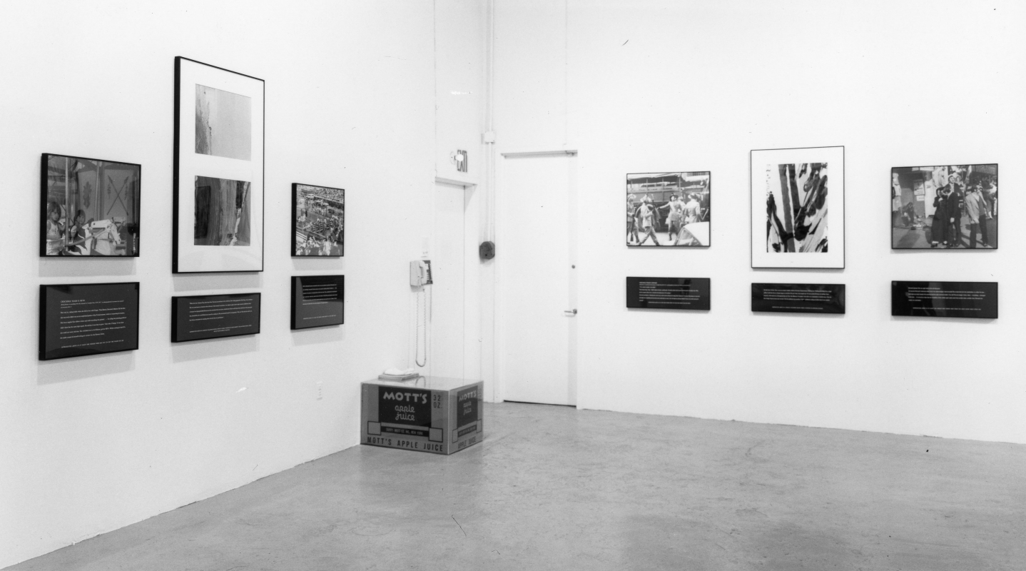Douglas Huebler - - Exhibitions - Castelli Gallery