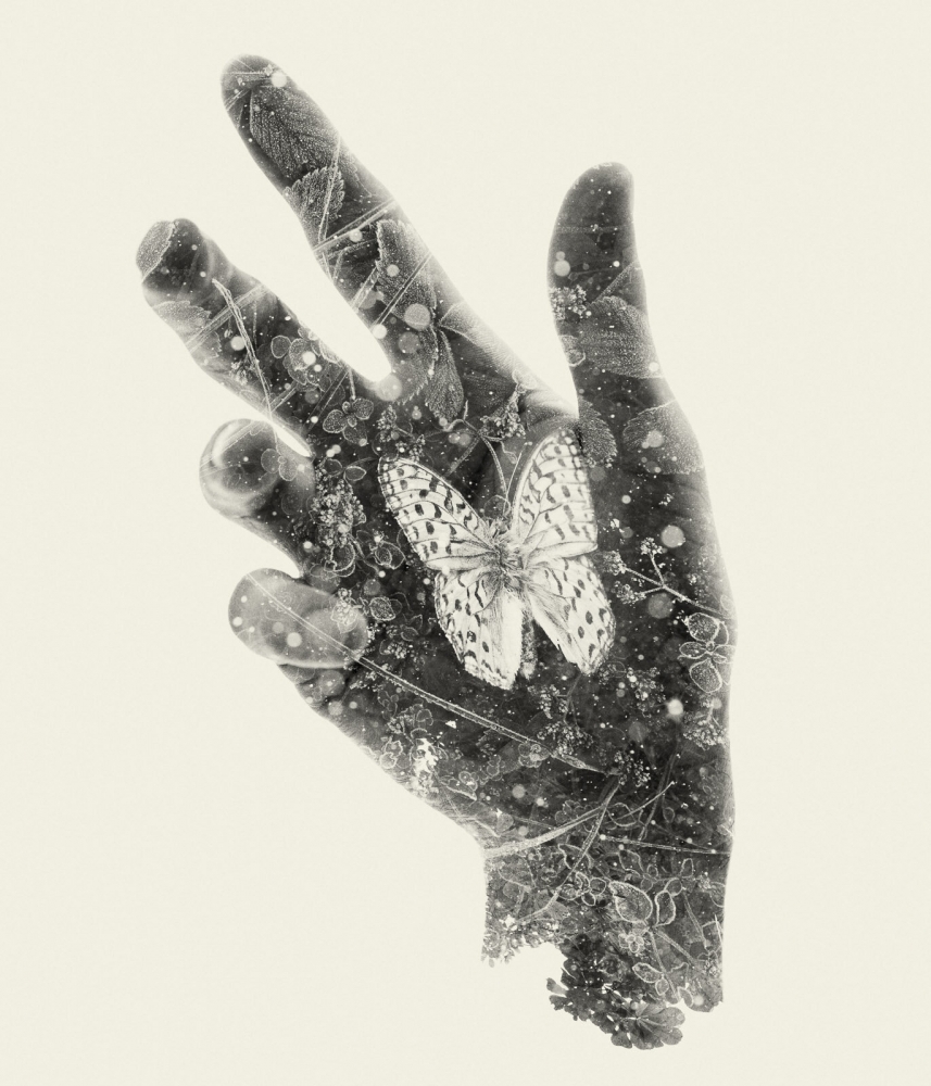 CHRISTOFFER RELANDER - Artists - Muriel Guepin Gallery