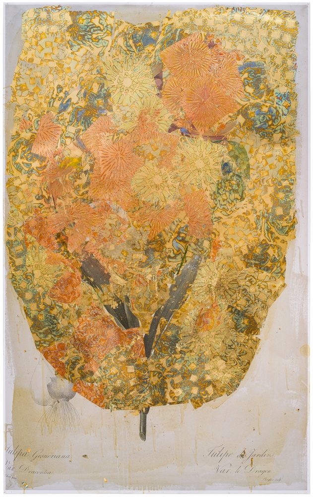 DAVID BASKIN - Artists - Freight+Volume