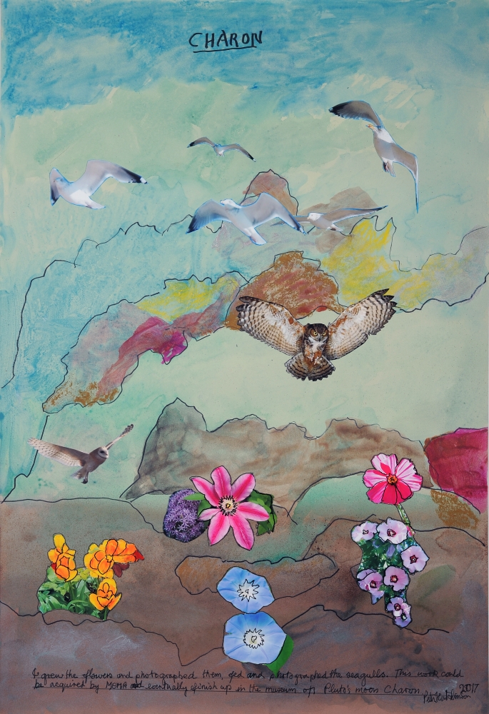 PETER HUTCHINSON - Artists - Freight+Volume