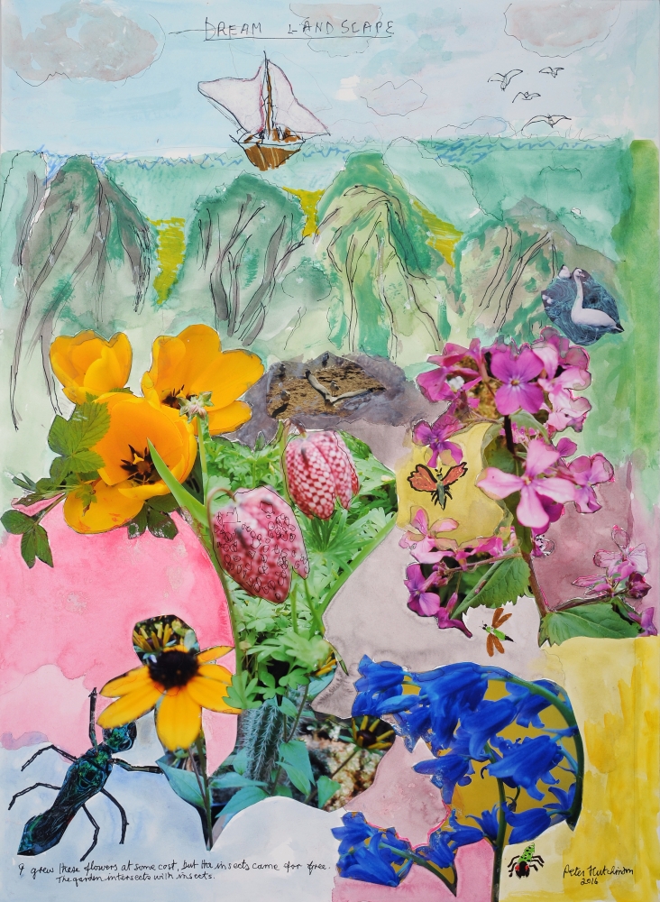 PETER HUTCHINSON - Artists - Freight+Volume