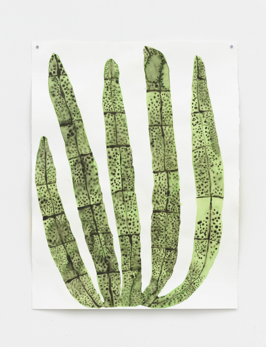 Emma Kohlmann - Artists - Jack Hanley Gallery