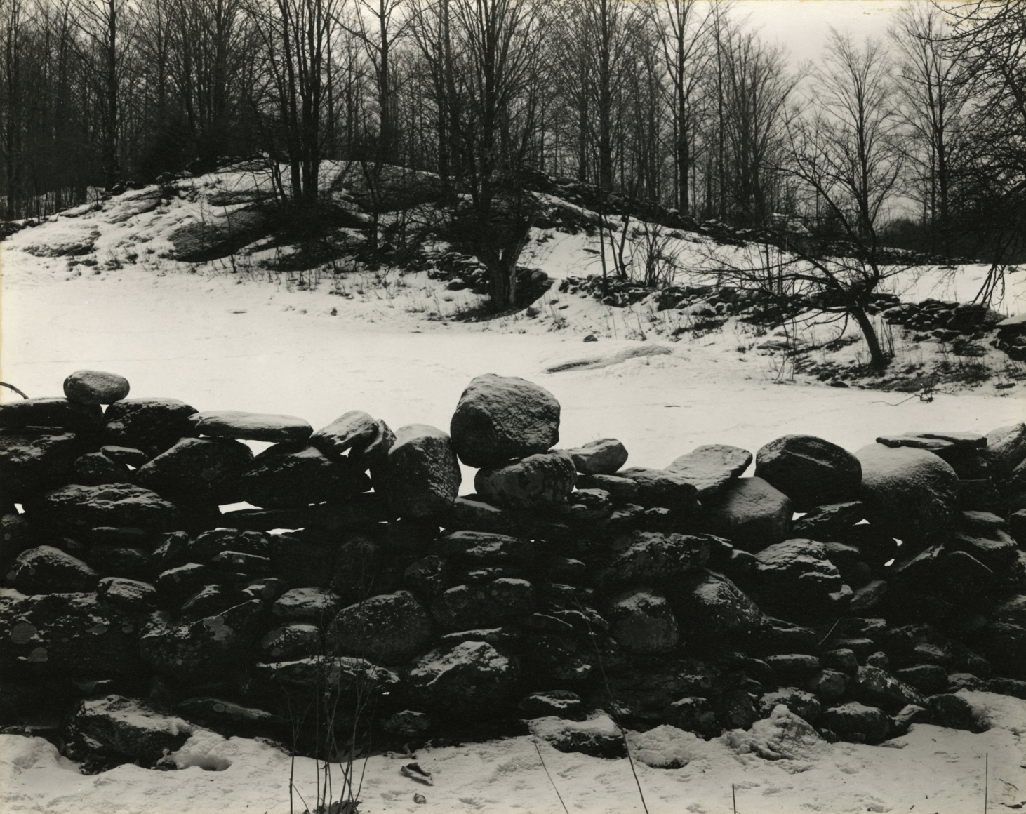 Paul Strand - Artists - Howard Greenberg Gallery