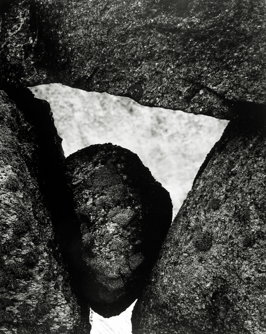 Aaron Siskind - Artists - Howard Greenberg Gallery