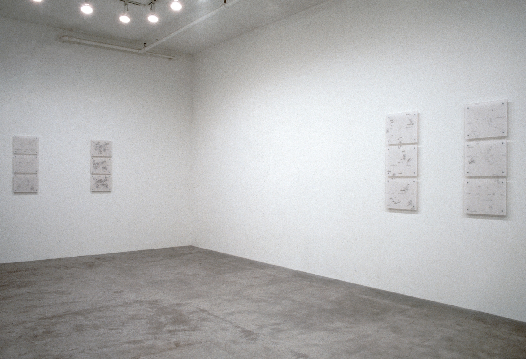 The Chase - Collier Schorr - GALLERY EXHIBITIONS - 303 Gallery