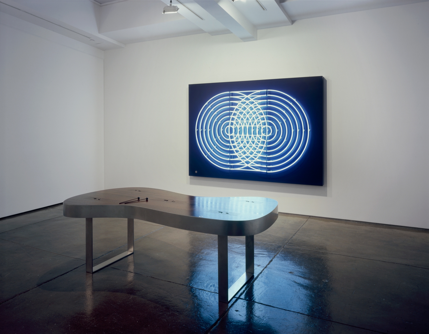 - Doug Aitken - GALLERY EXHIBITIONS - 303 Gallery