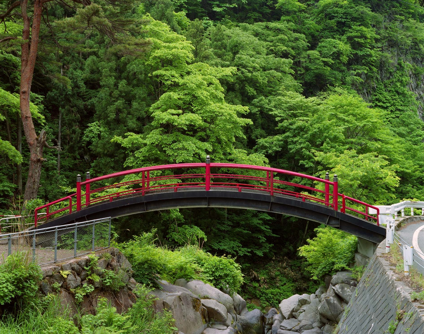 Toshio Shibata - Artists - Laurence Miller Gallery