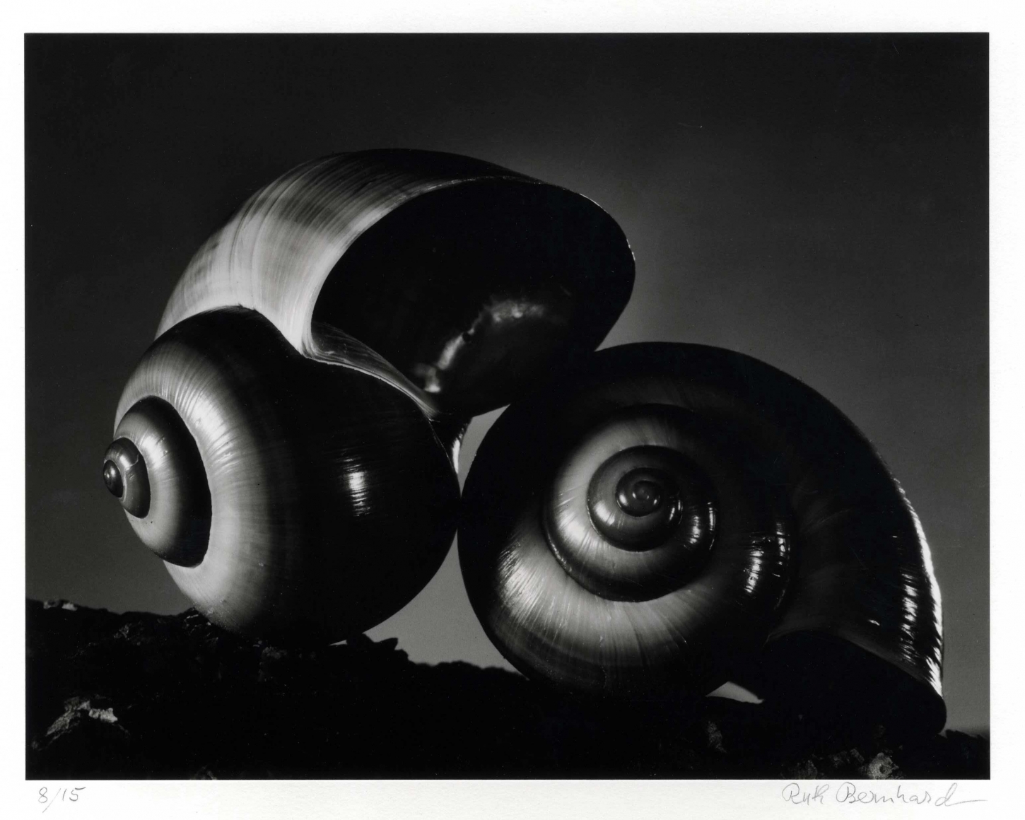 Photo of the Week #71 - Ruth Bernhard - Photo of the Week - Laurence ...