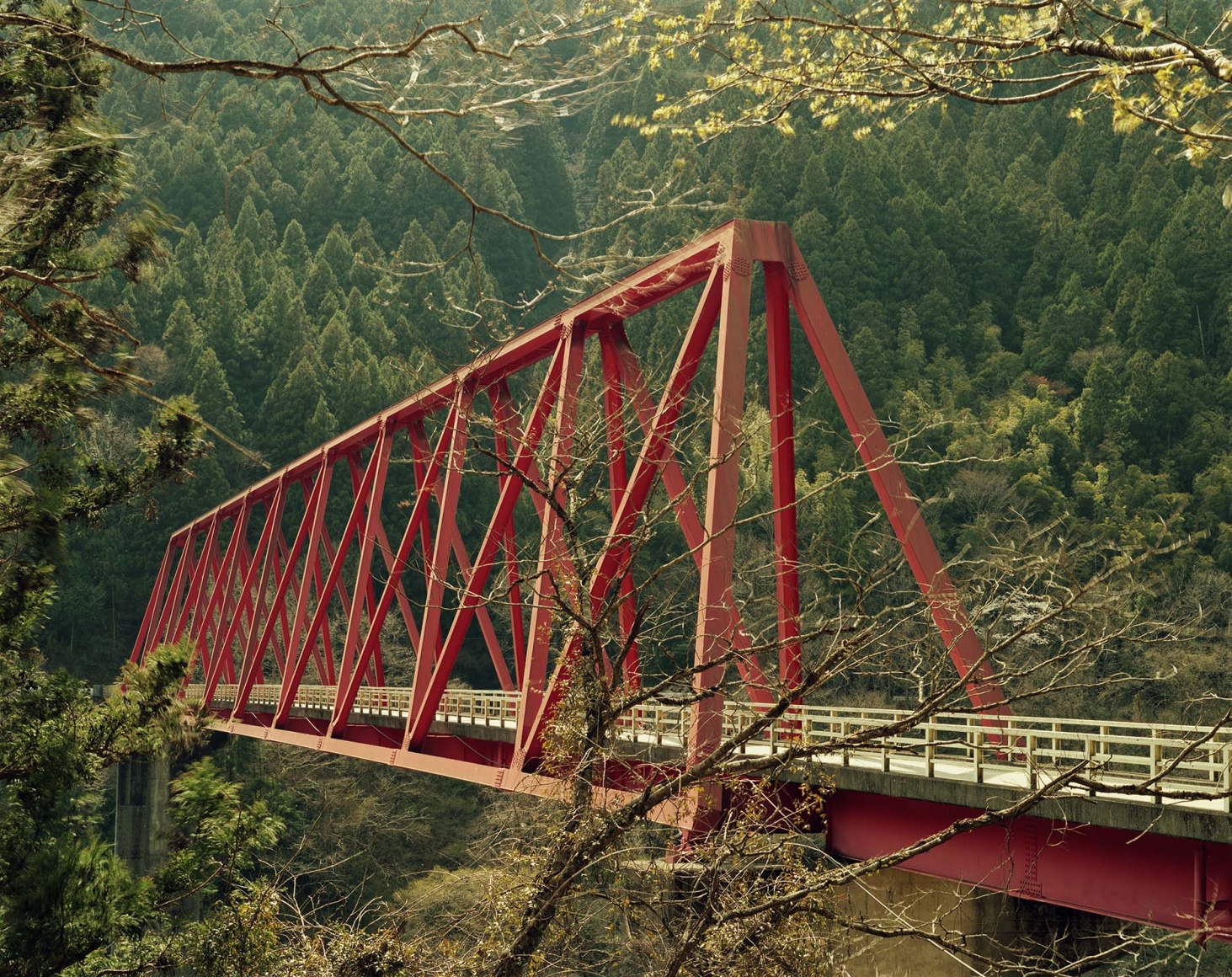 Toshio Shibata - Five Decades - Exhibitions - Laurence Miller Gallery