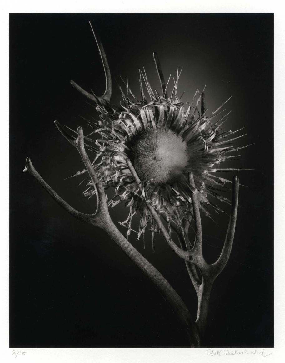 Photo of the Week #71 - Ruth Bernhard - Photo of the Week - Laurence ...