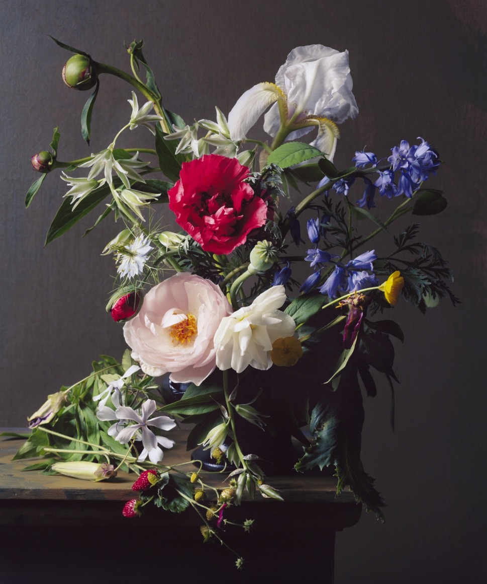 Sharon Core - Artists - Yancey Richardson