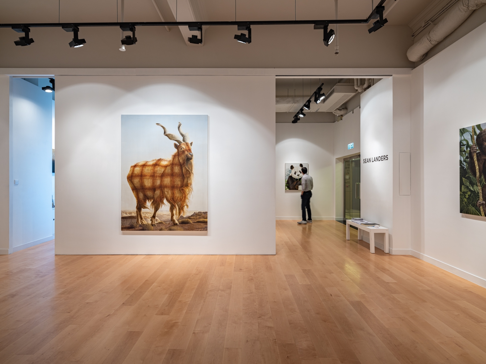 Sean Landers - Exhibitions - Sean Landers