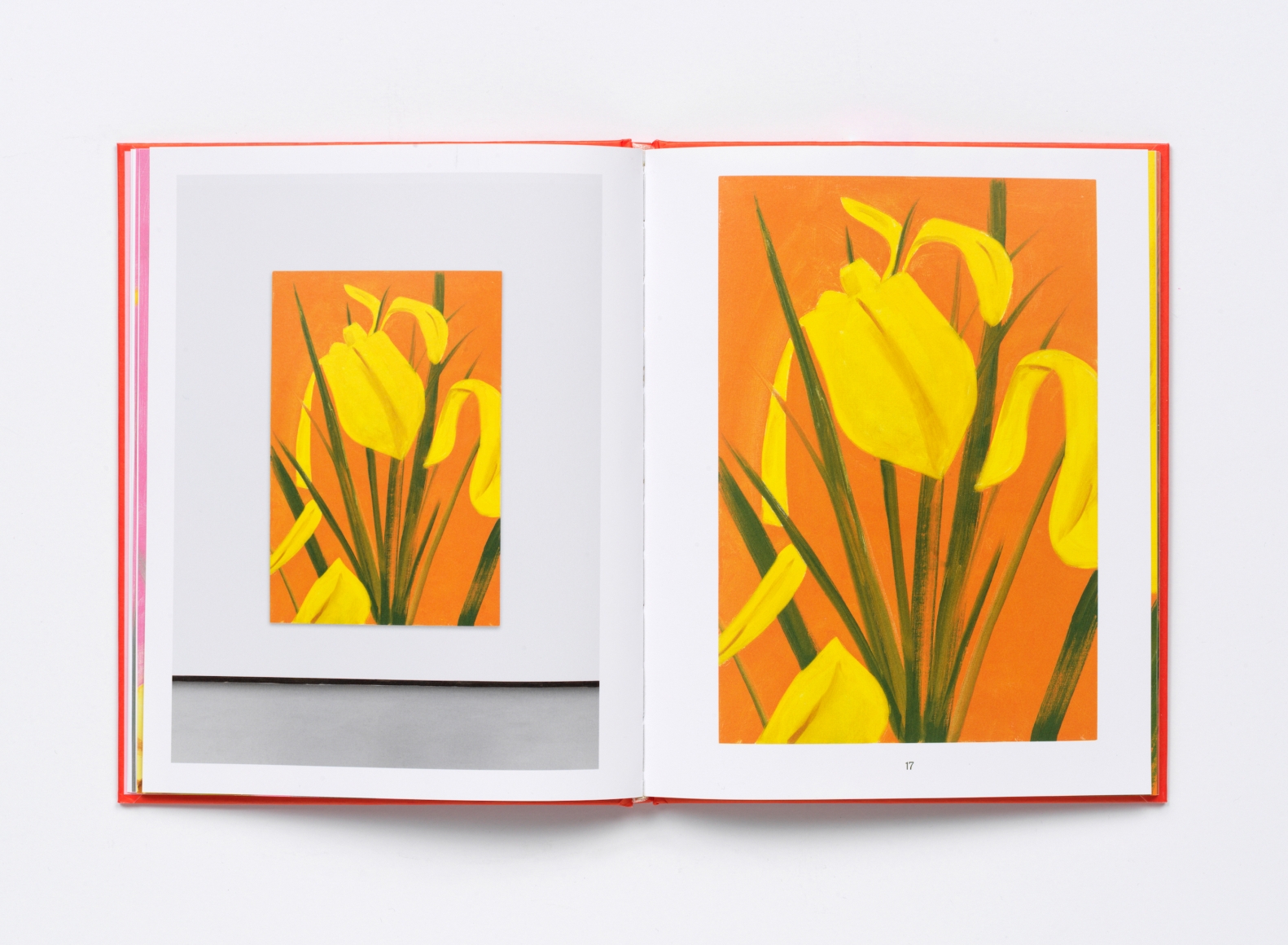 Flowers - Alex Katz - Books - Richard Gray Gallery