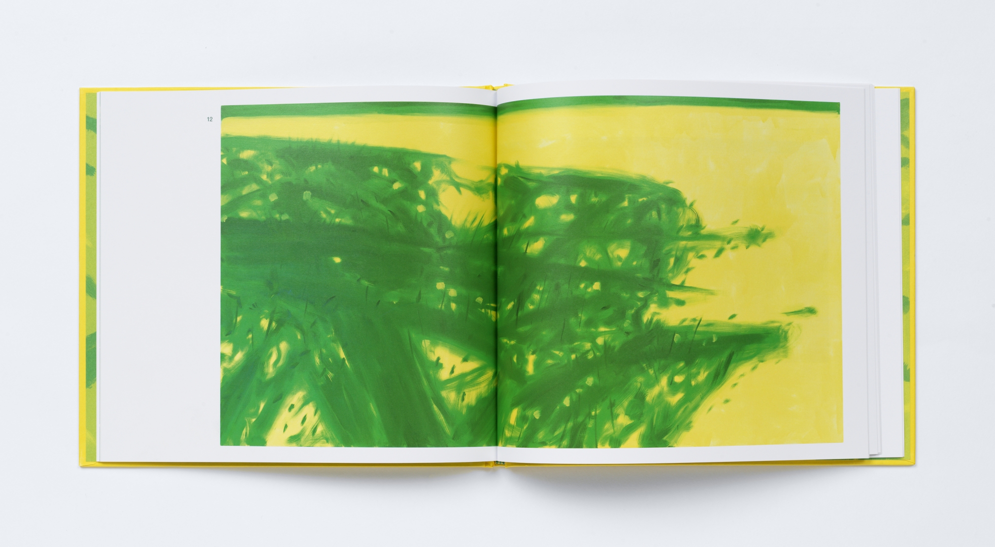 Grass and Trees - Alex Katz - Books - Richard Gray Gallery