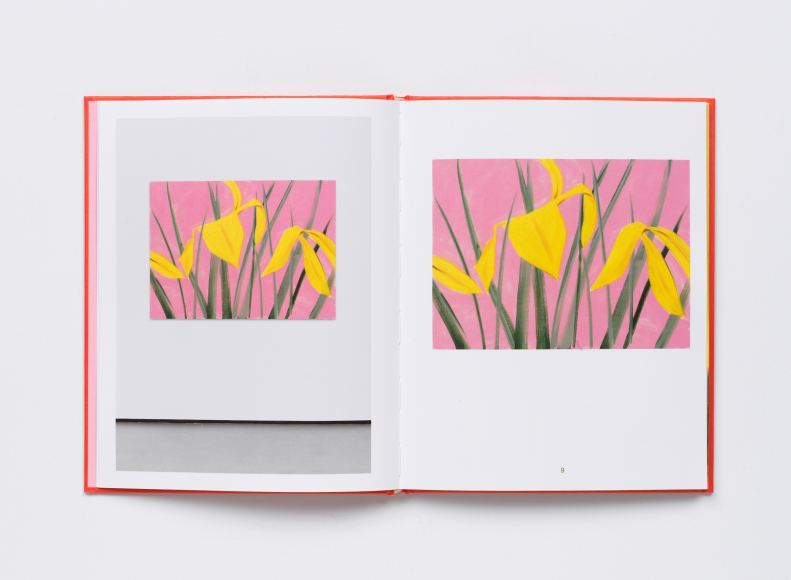 Flowers - Alex Katz - Books - Richard Gray Gallery