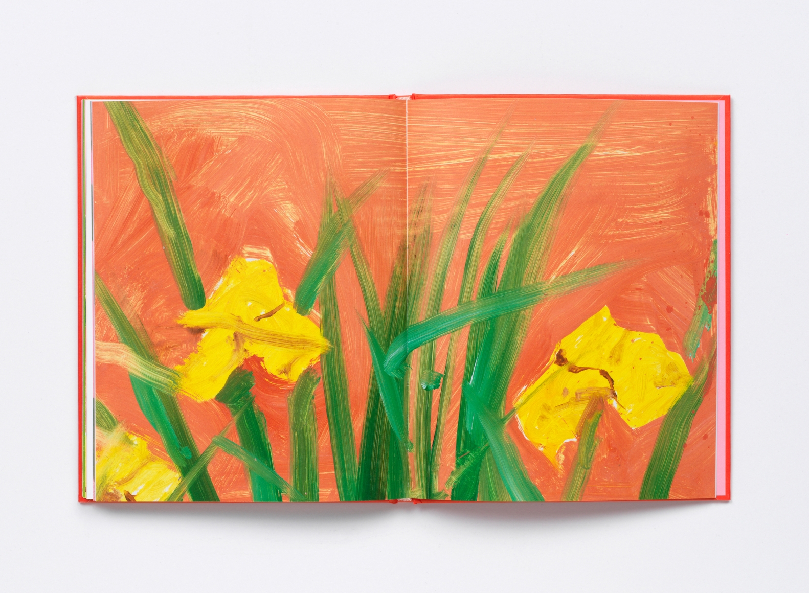 Flowers - Alex Katz - Books - Richard Gray Gallery