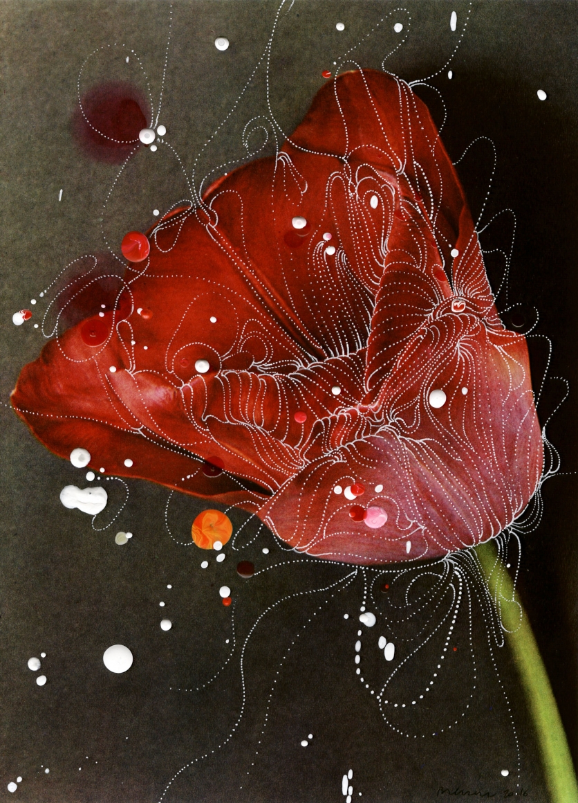 Sebastiaan Bremer - Artists - Edwynn Houk Gallery