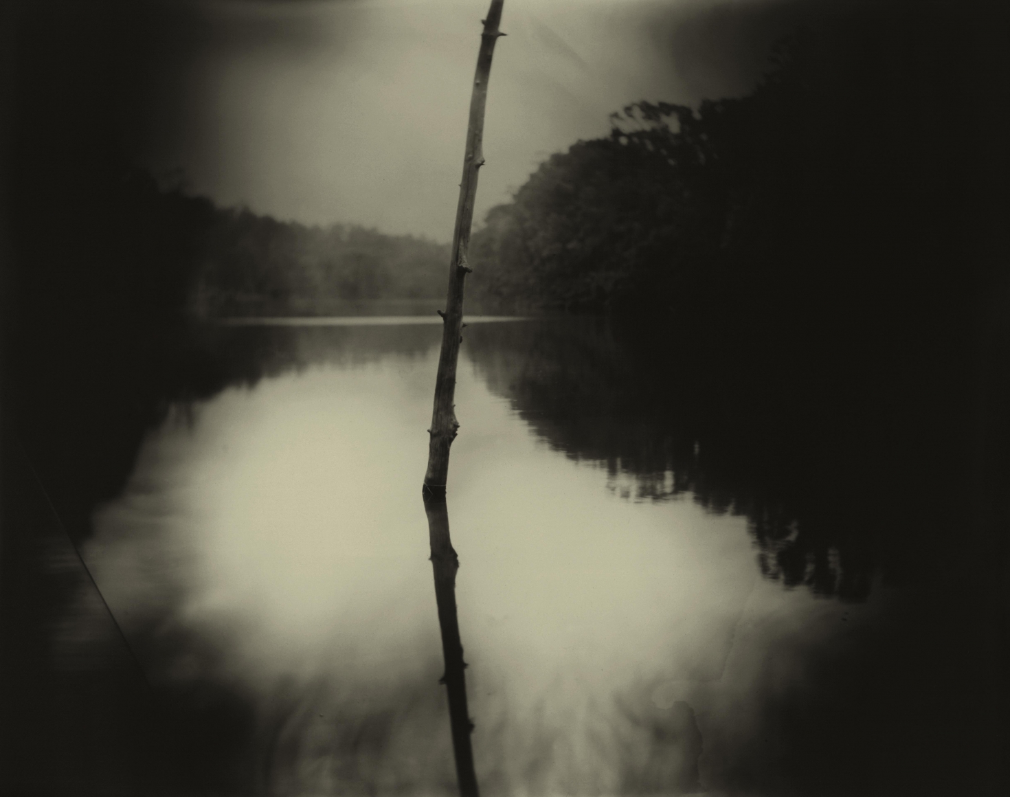 Sally Mann - Artists - Edwynn Houk Gallery