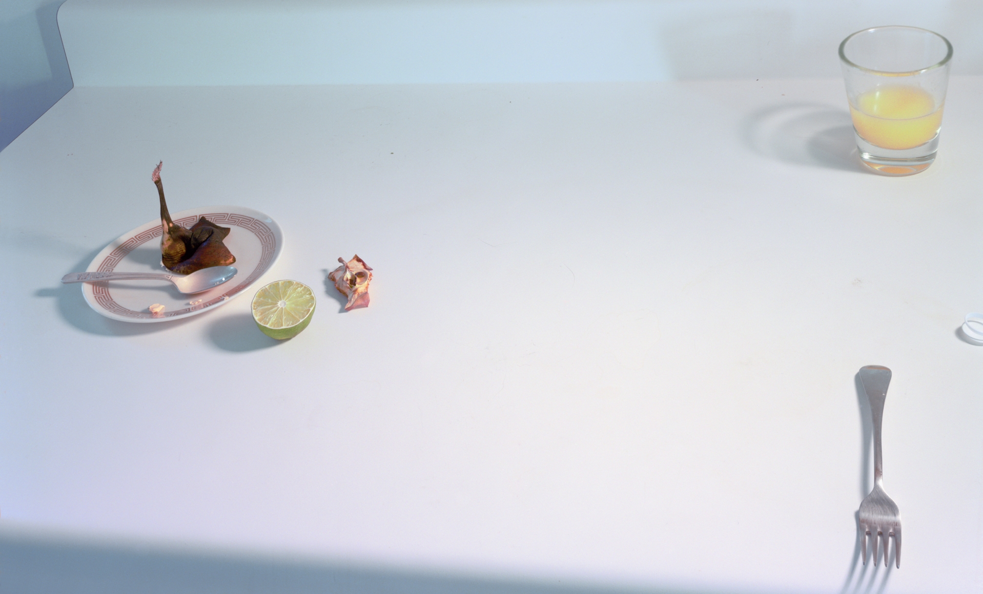 Laura Letinsky - Artists - Tracey Morgan Gallery - Contemporary fine ...