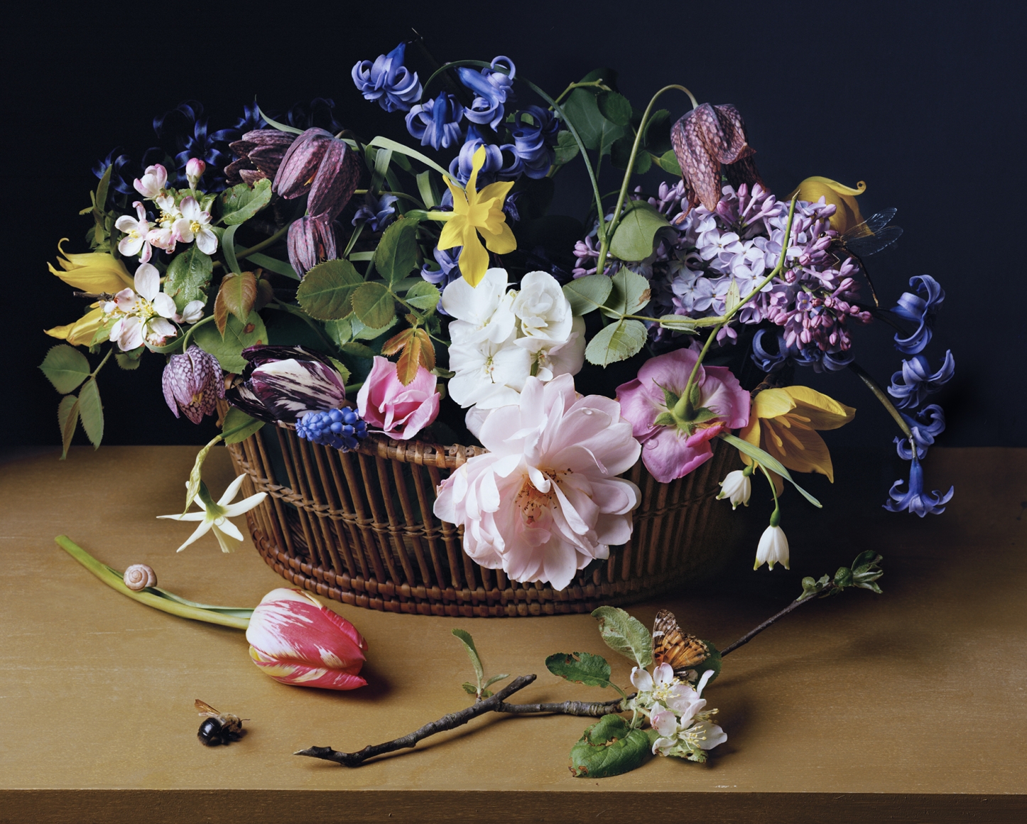 Sharon Core - Exhibitions - Tracey Morgan Gallery - Contemporary fine ...