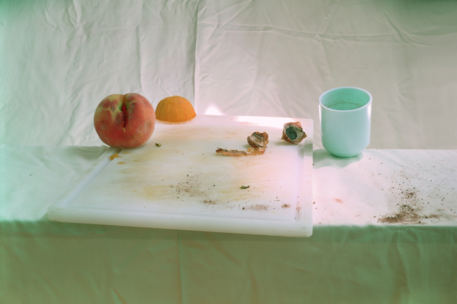 Laura Letinsky - Artists - Tracey Morgan Gallery - Contemporary fine ...