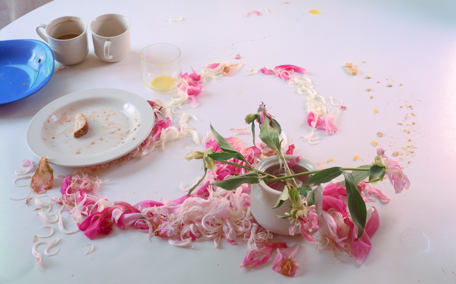 Laura Letinsky - Artists - Tracey Morgan Gallery - Contemporary fine ...