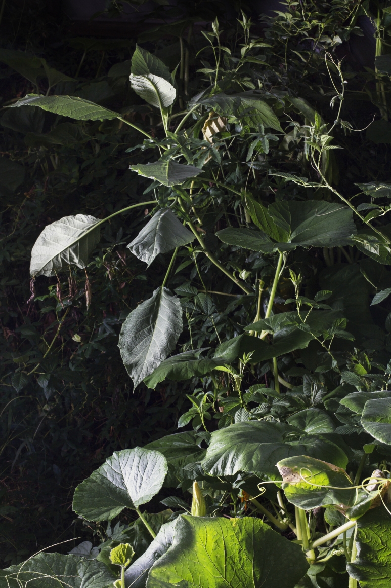 Sharon Core - Exhibitions - Tracey Morgan Gallery - Contemporary fine ...