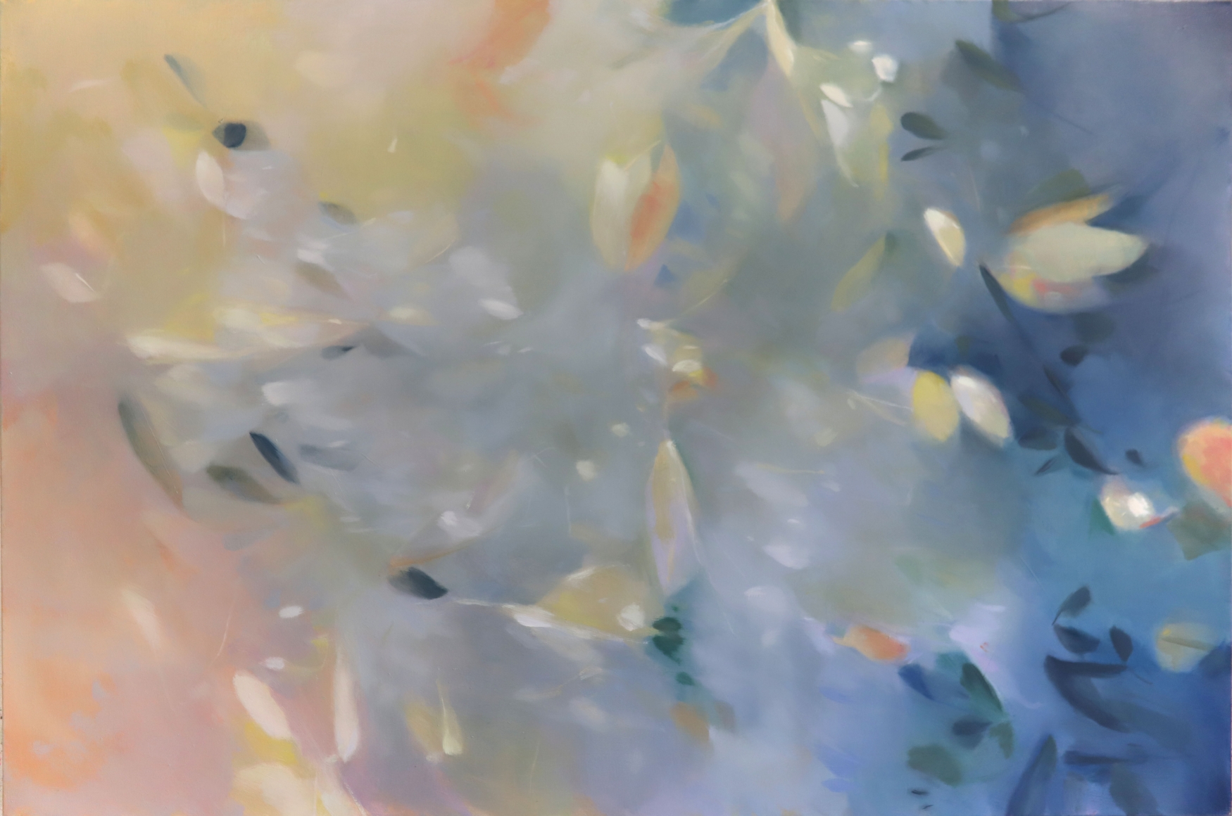 Elise Morris - Artists - Pryor Fine Art