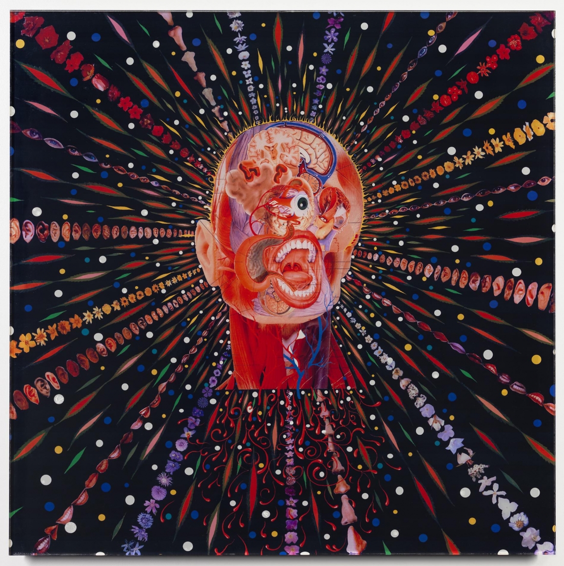 Surface-mounted pigment print on plexiglass - FRED TOMASELLI: Cyclopticon - Editions - James Cohan