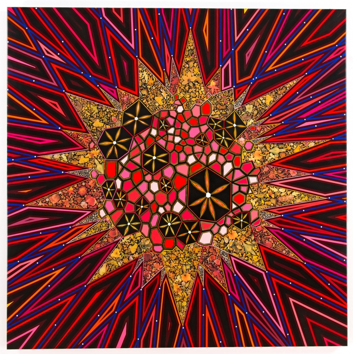 Fred Tomaselli - Artists - James Cohan
