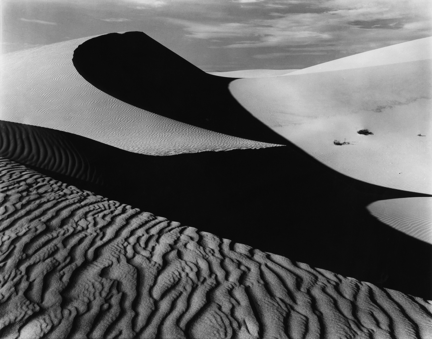 Brett Weston - Artists - Danziger Gallery