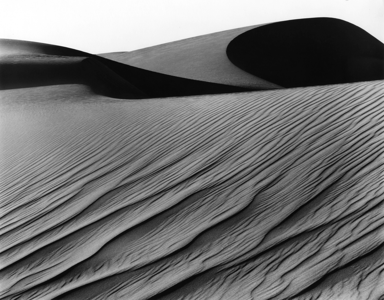 Brett Weston - Artists - Danziger Gallery