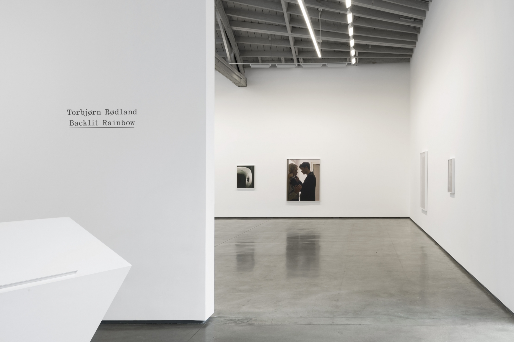 Torbjørn Rødland - Exhibitions - David Kordansky Gallery