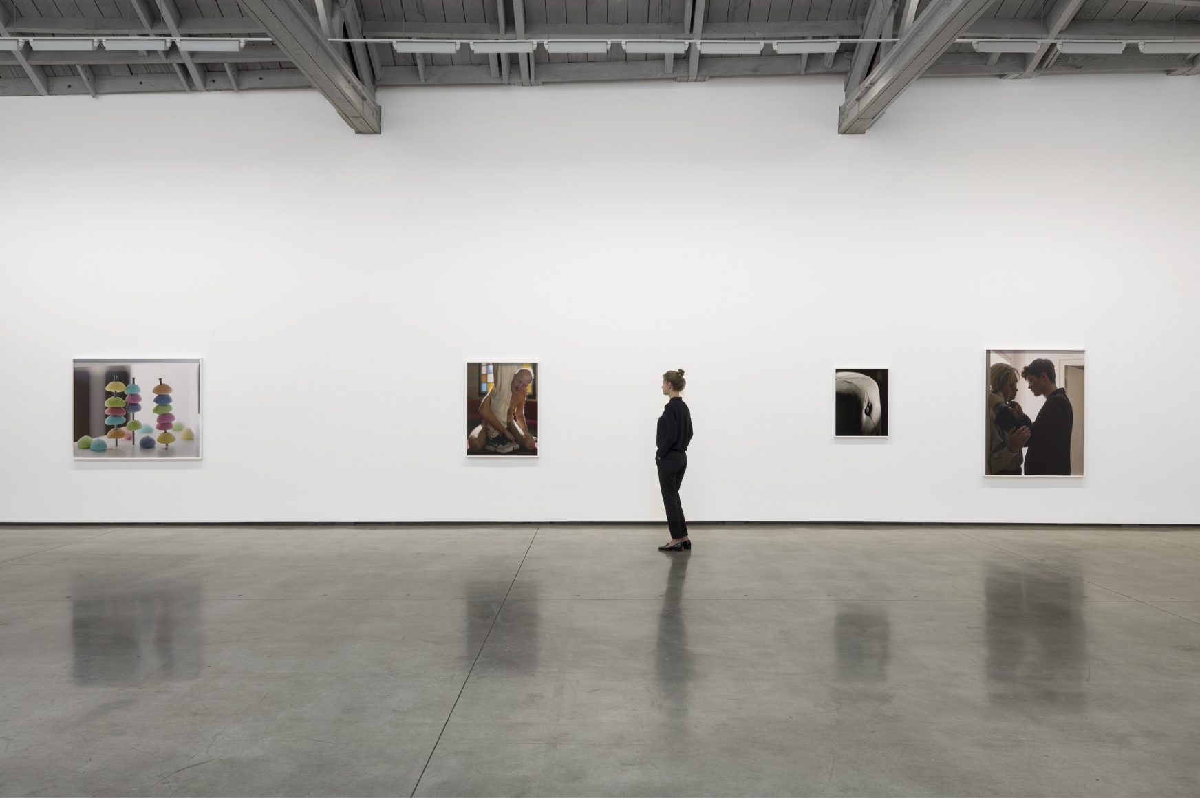 Torbjørn Rødland - Exhibitions - David Kordansky Gallery