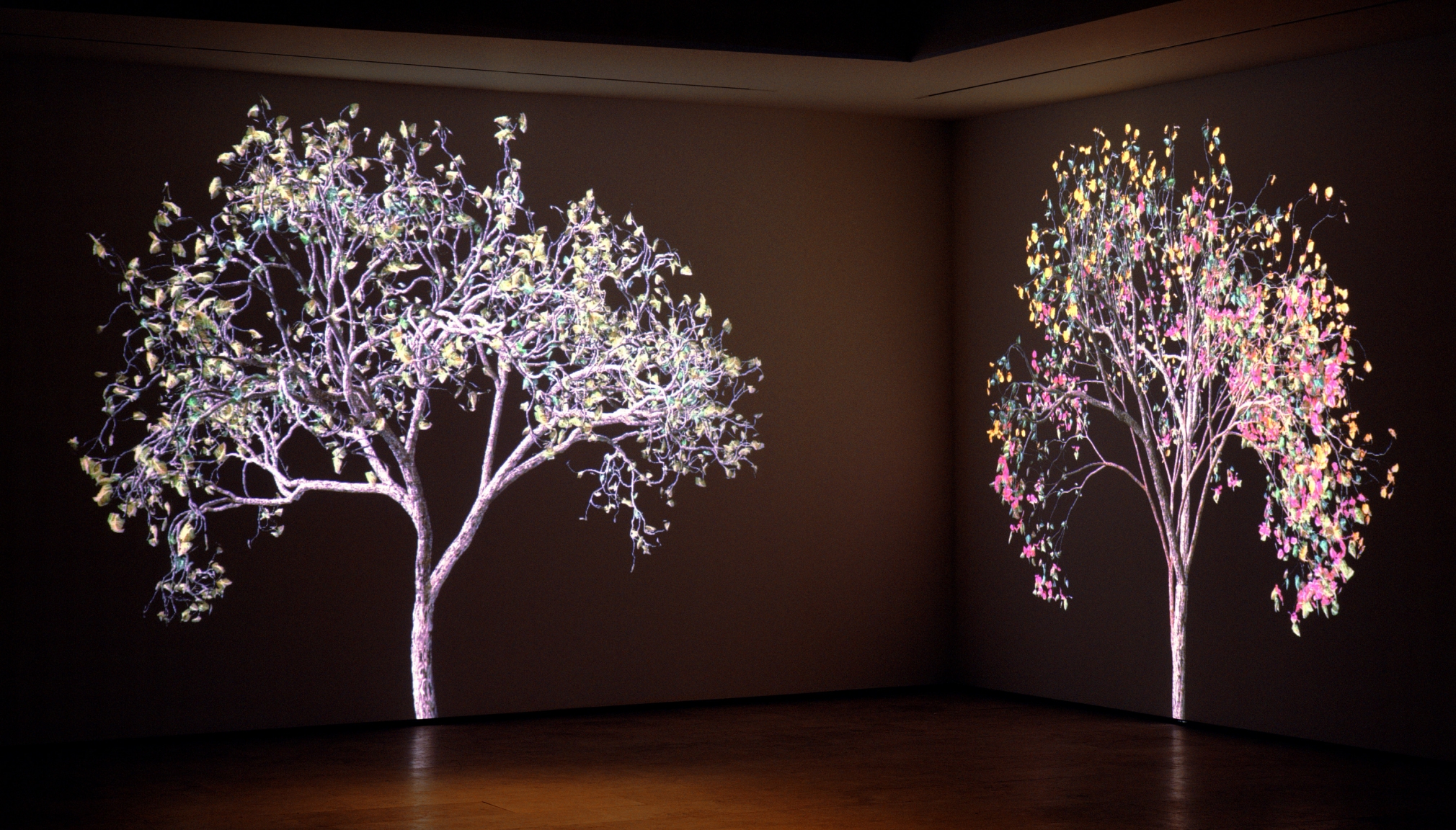 Jennifer Steinkamp - Dervish - Exhibitions - Lehmann Maupin