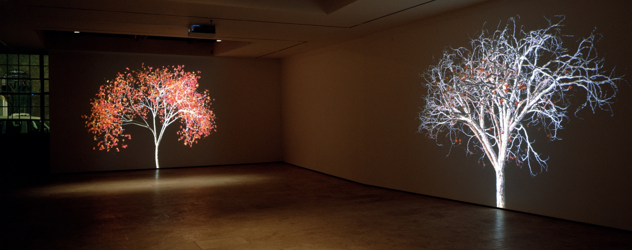 Jennifer Steinkamp - Dervish - Exhibitions - Lehmann Maupin