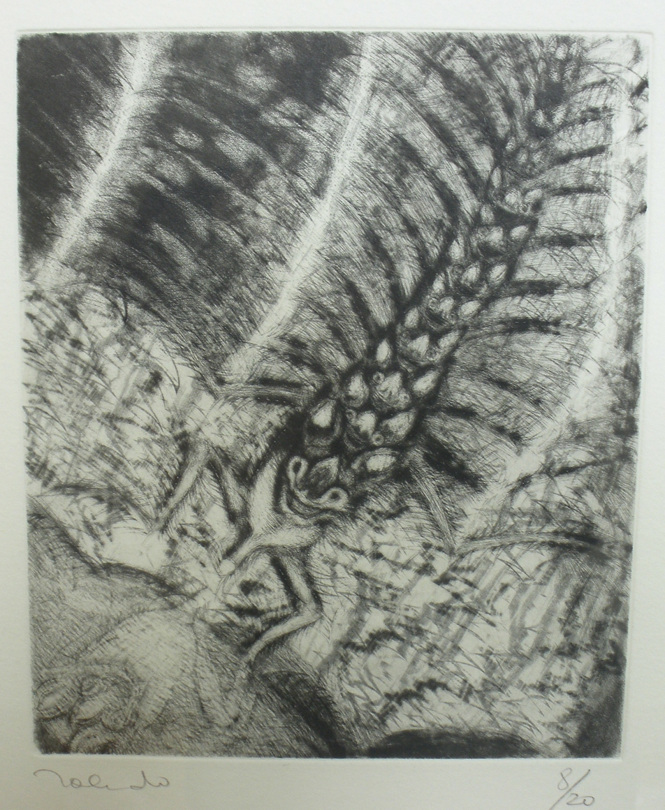 Francisco Toledo - Artists - Latin American Masters