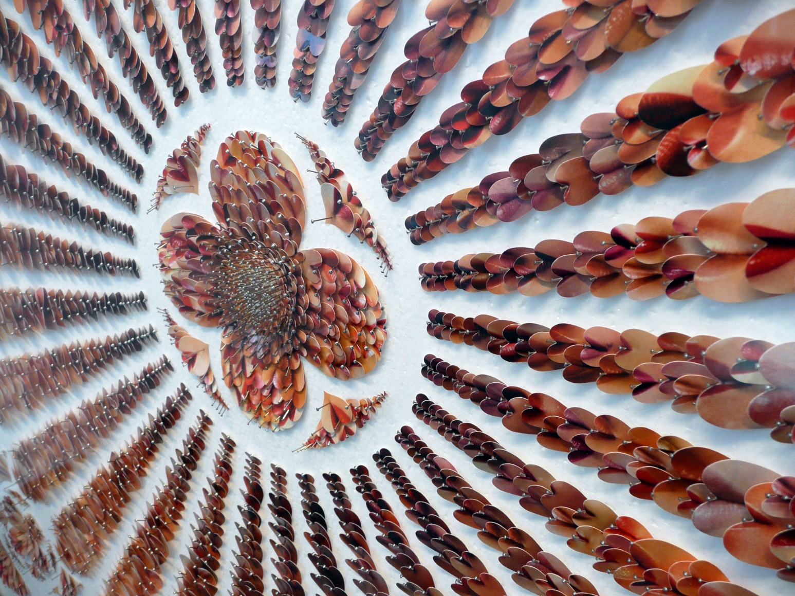 David Adey - Exhibitions - Luis De Jesus Los Angeles