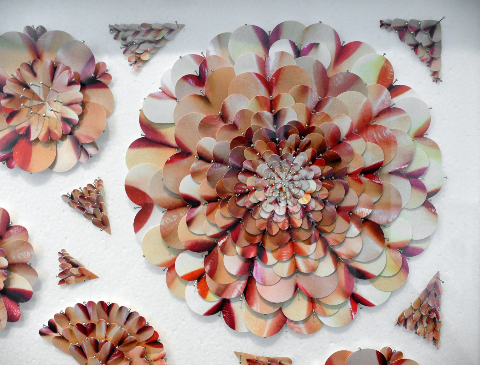 David Adey - Exhibitions - Luis De Jesus Los Angeles